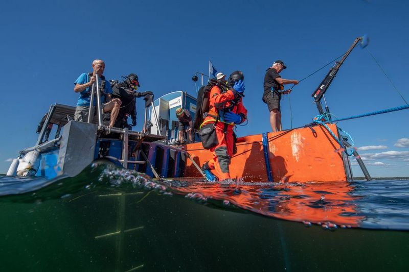 Sensationelle undersøgelser af kong Hans' skib Gribshunden