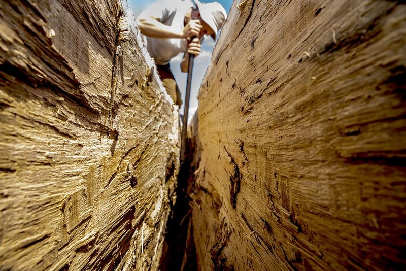 Cleaving oak for Skuldelev 5