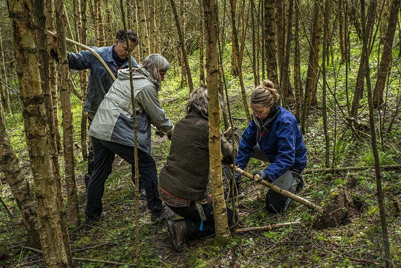 New and instructive film about withy